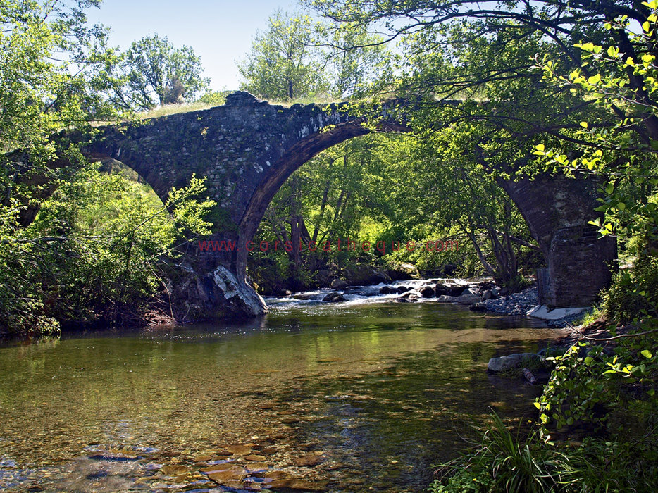 Pont de Torreno de Murato / Ponts / Histoire (patrimoine) / Accueil ...