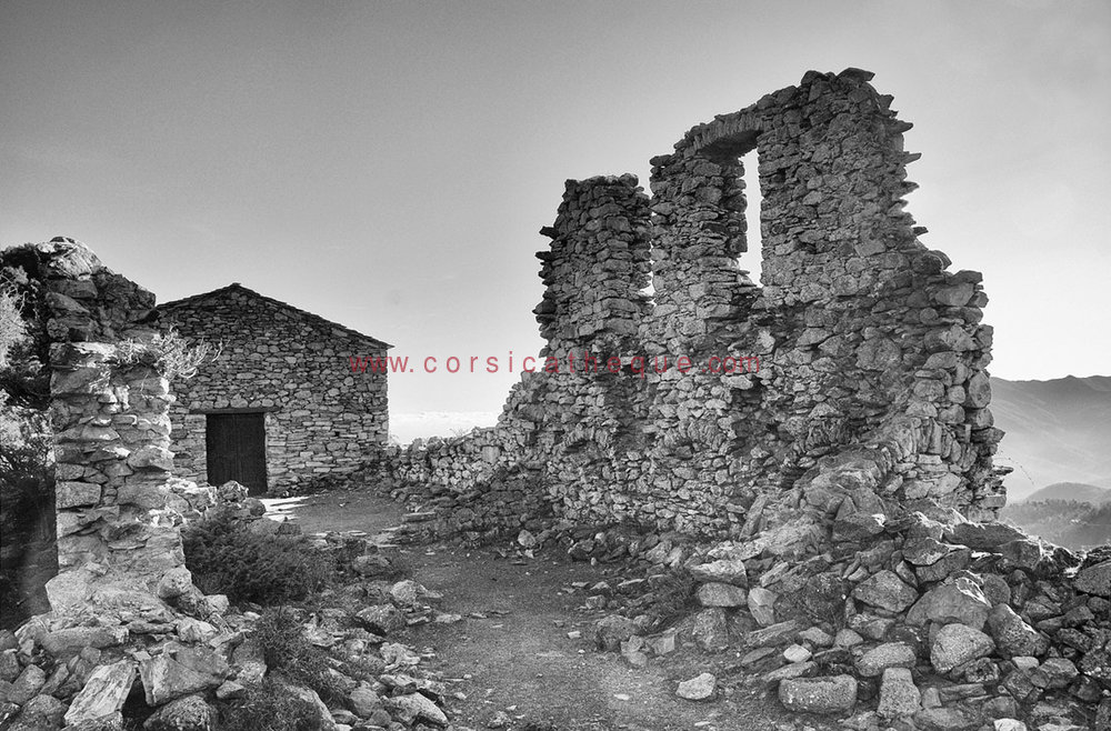 Accia - Ruines de San Petru / Sites historiques / Histoire (patrimoine ...