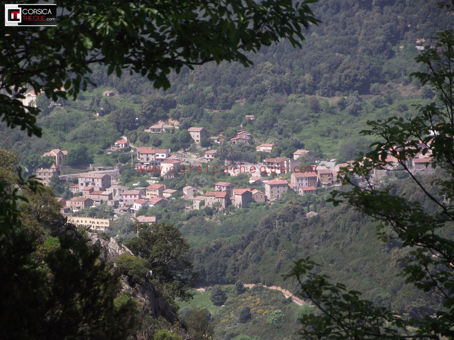 Vallée du Prunelli au printemps / La Corse de l'intérieur / Territoires ...