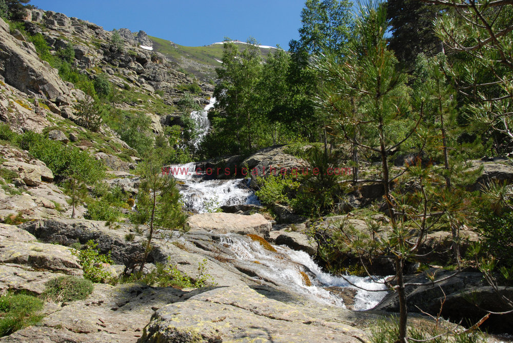 Bergeries de Capanelle / La Corse de l'intérieur / Territoires ...