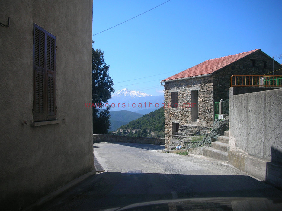 Boziu au printemps / La Corse de l'intérieur / Territoires / Accueil ...