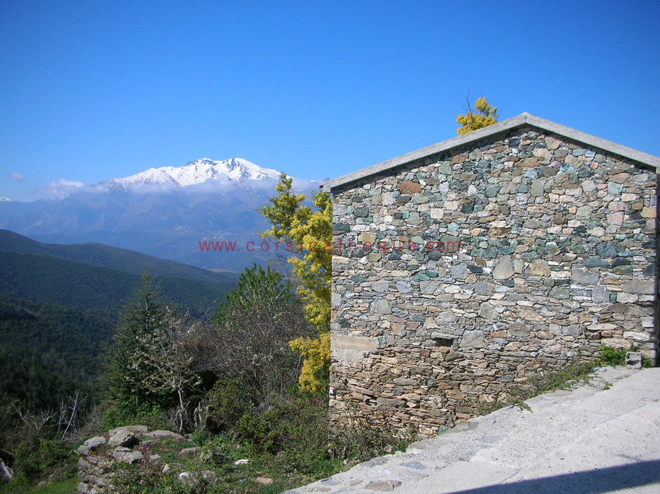 Boziu au printemps / La Corse de l'intérieur / Territoires / Accueil ...
