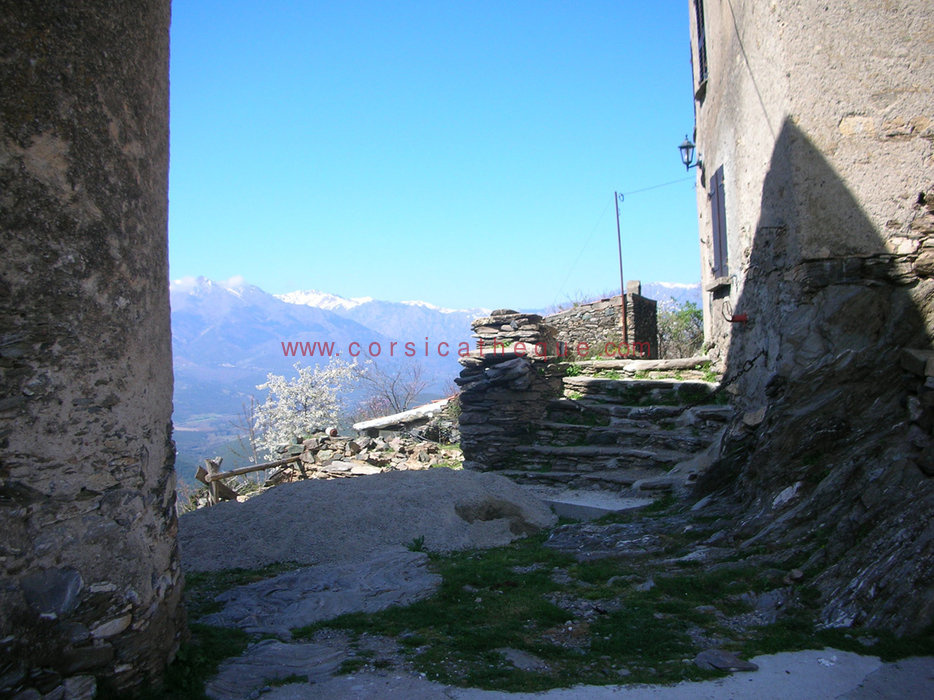 Boziu au printemps / La Corse de l'intérieur / Territoires / Accueil ...