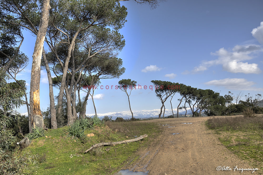 Coti-Chiavari : les alentours / La Corse du littoral / Territoires ...
