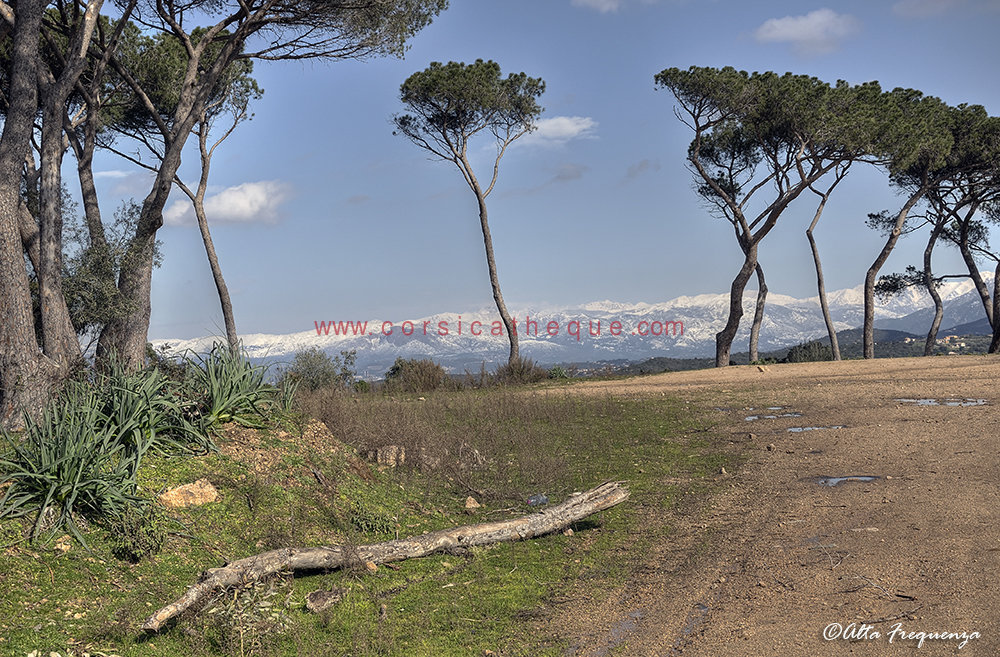 Coti-Chiavari : les alentours / La Corse du littoral / Territoires ...