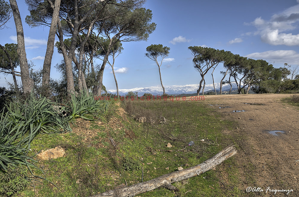 Coti-Chiavari : les alentours / La Corse du littoral / Territoires ...