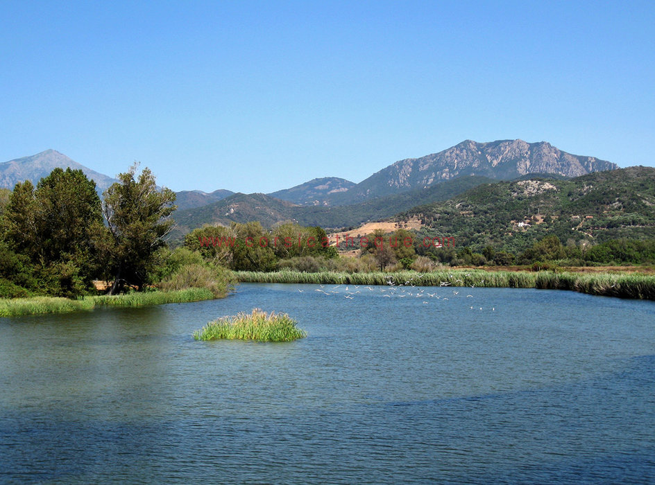 Plage de Sagone : l'embouchure du Liamone / La Corse du littoral ...