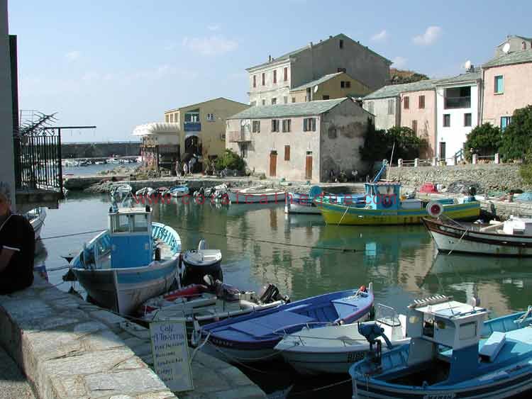 Centuri – (Centuri) / Les 360 communes corses / Territoires / Accueil ...