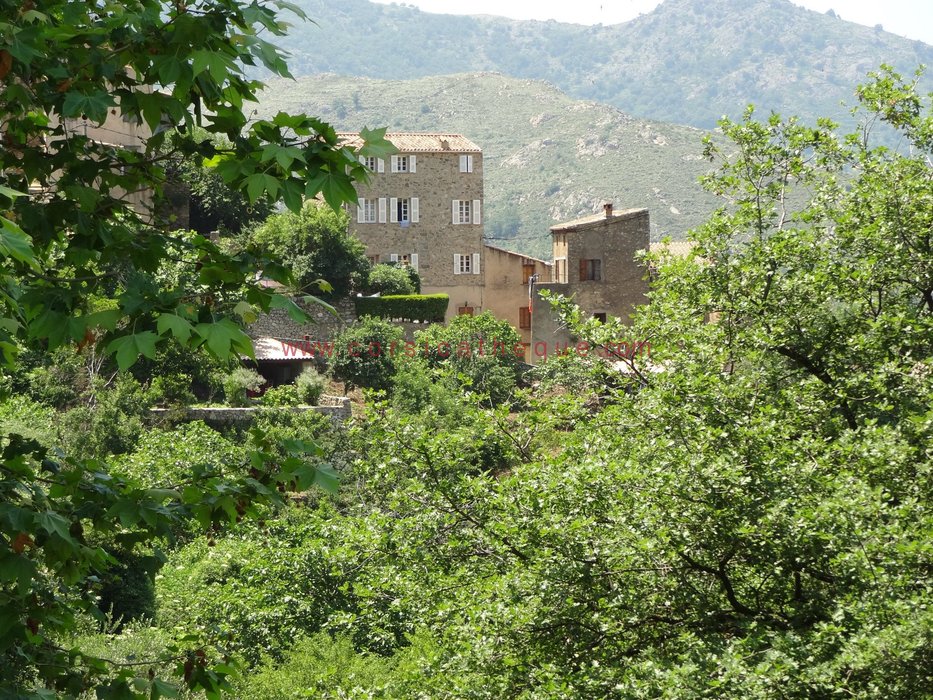 Nessa – (Nesce) / Les 360 communes corses / Territoires / Accueil - 1er ...