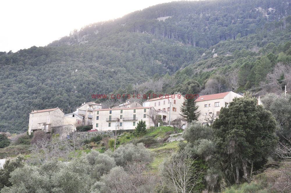 Pietroso - (U Petrosu) / Les 360 communes corses / Territoires ...