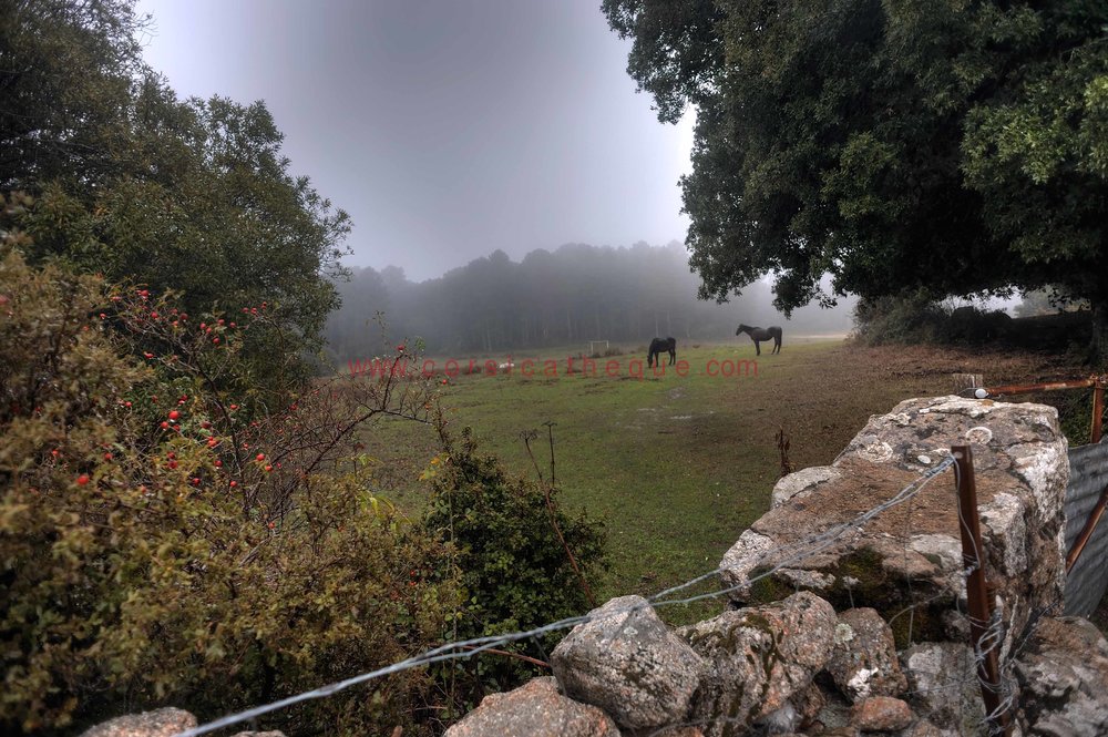 Quenza – (Quenza) / Les 360 communes corses / Territoires / Accueil ...