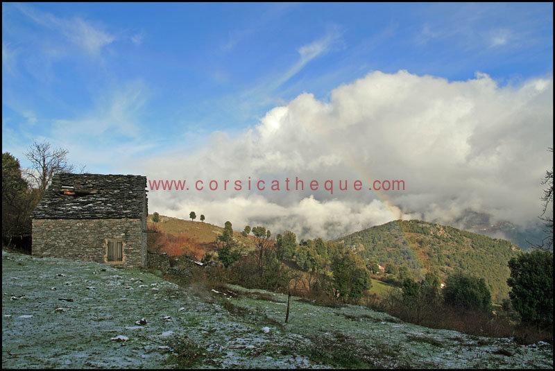 Rusio – (Rusiu) / Les 360 communes corses / Territoires / Accueil - 1er ...