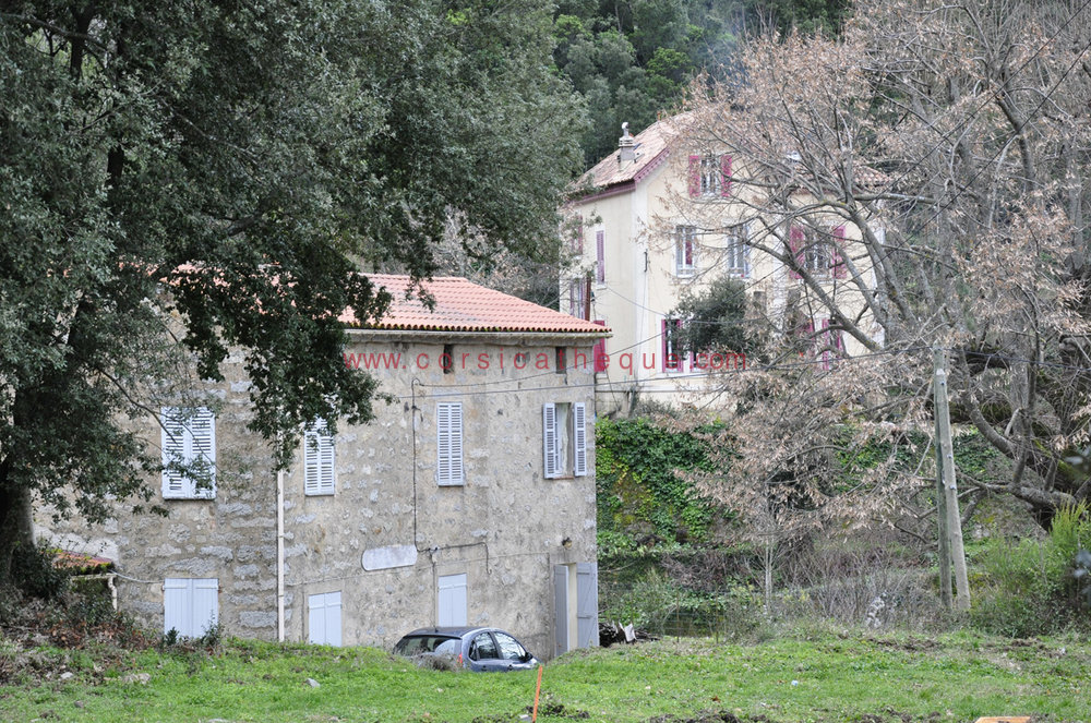 Tavera – (Tavera) / Les 360 communes corses / Territoires / Accueil ...