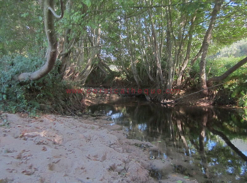 Baraci / Les cours d'eau / Territoires / Accueil - 1er Média Culturel ...