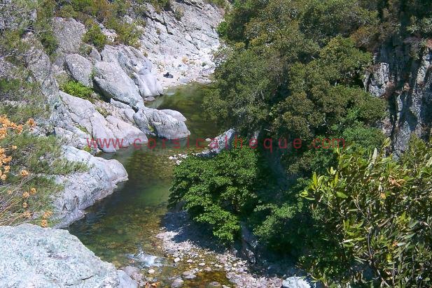 Fium'Alto / Les cours d'eau / Territoires / Accueil - 1er Média ...