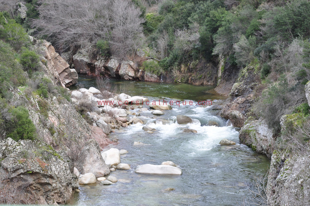 Gravona / Les cours d'eau / Territoires / Accueil - 1er Média Culturel ...
