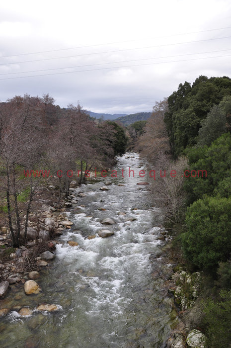 Gravona / Les cours d'eau / Territoires / Accueil - 1er Média Culturel ...