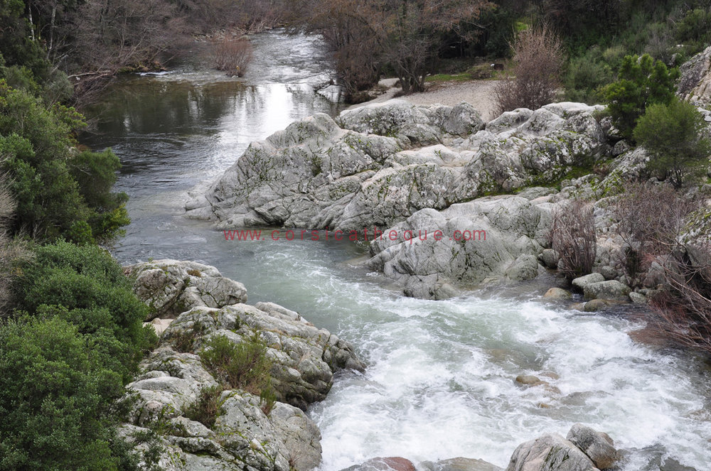 Gravona / Les cours d'eau / Territoires / Accueil - 1er Média Culturel ...