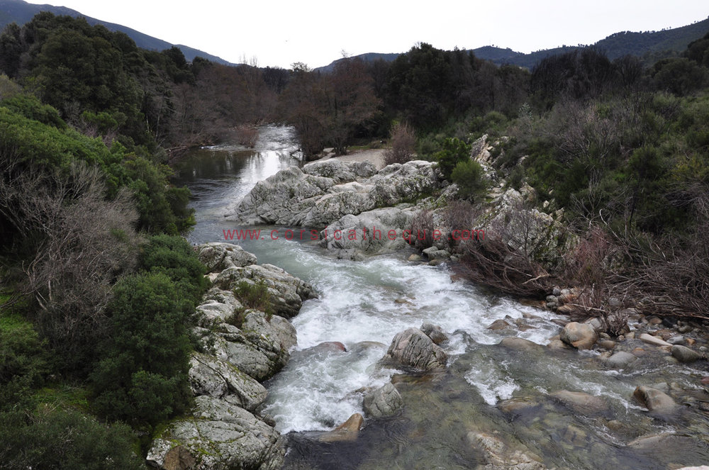 Gravona / Les cours d'eau / Territoires / Accueil - 1er Média Culturel ...