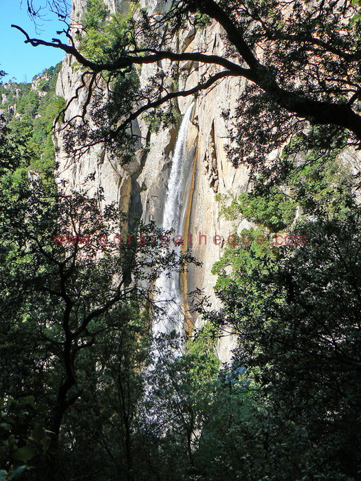 Piscia di Gallo (cascade) / Les cours d'eau / Territoires / Accueil ...