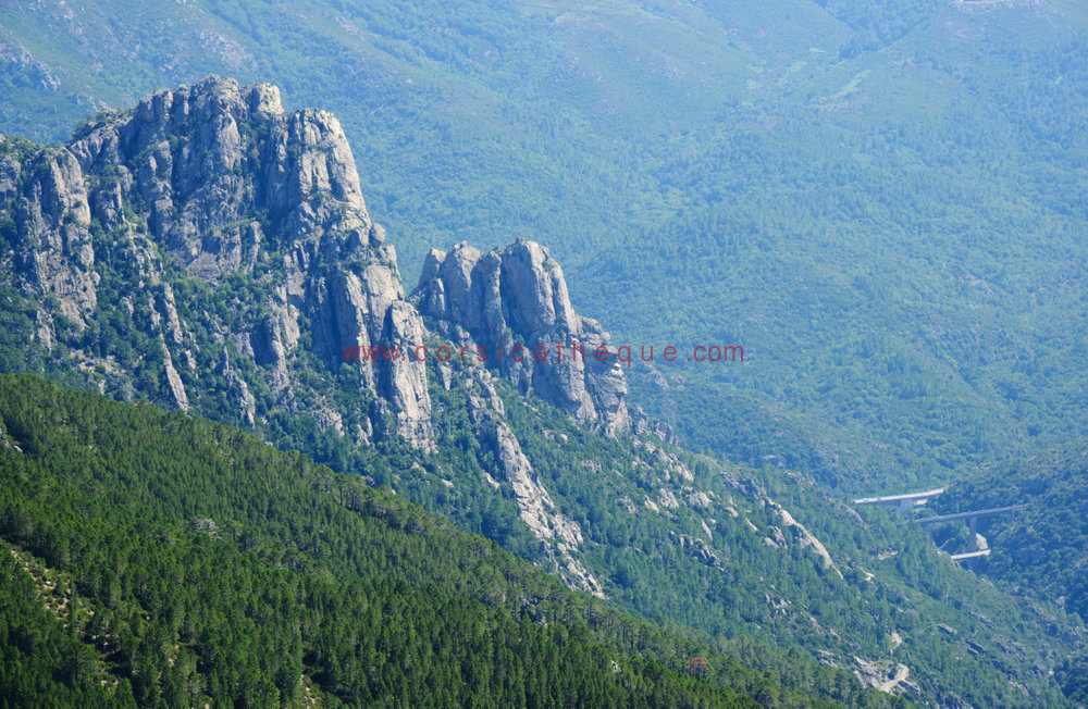 Vecchio / Les cours d'eau / Territoires / Accueil - 1er Média Culturel ...