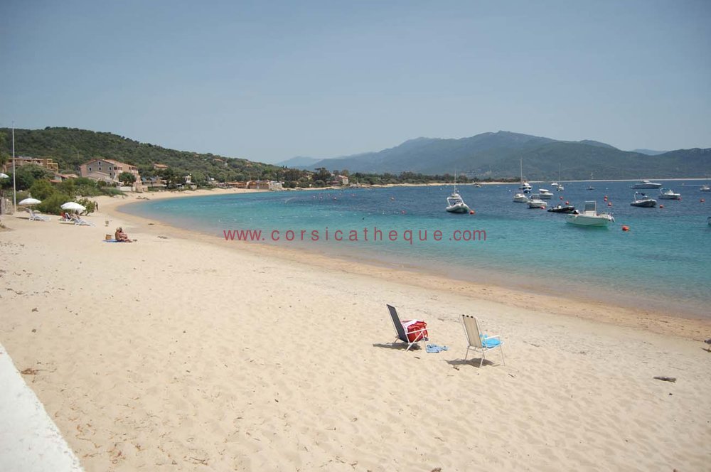 Plage de Porto-Pollo / Les plages / Territoires / Accueil - 1er Média ...