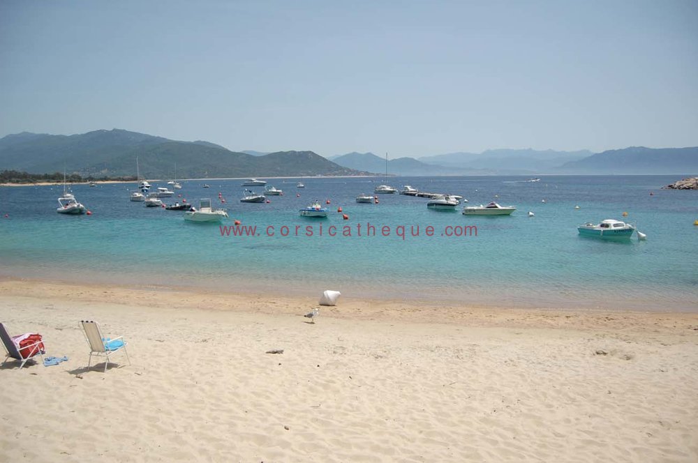 Plage de Porto-Pollo / Les plages / Territoires / Accueil - 1er Média ...