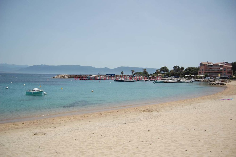 Plage de Porto-Pollo / Les plages / Territoires / Accueil - 1er Média ...